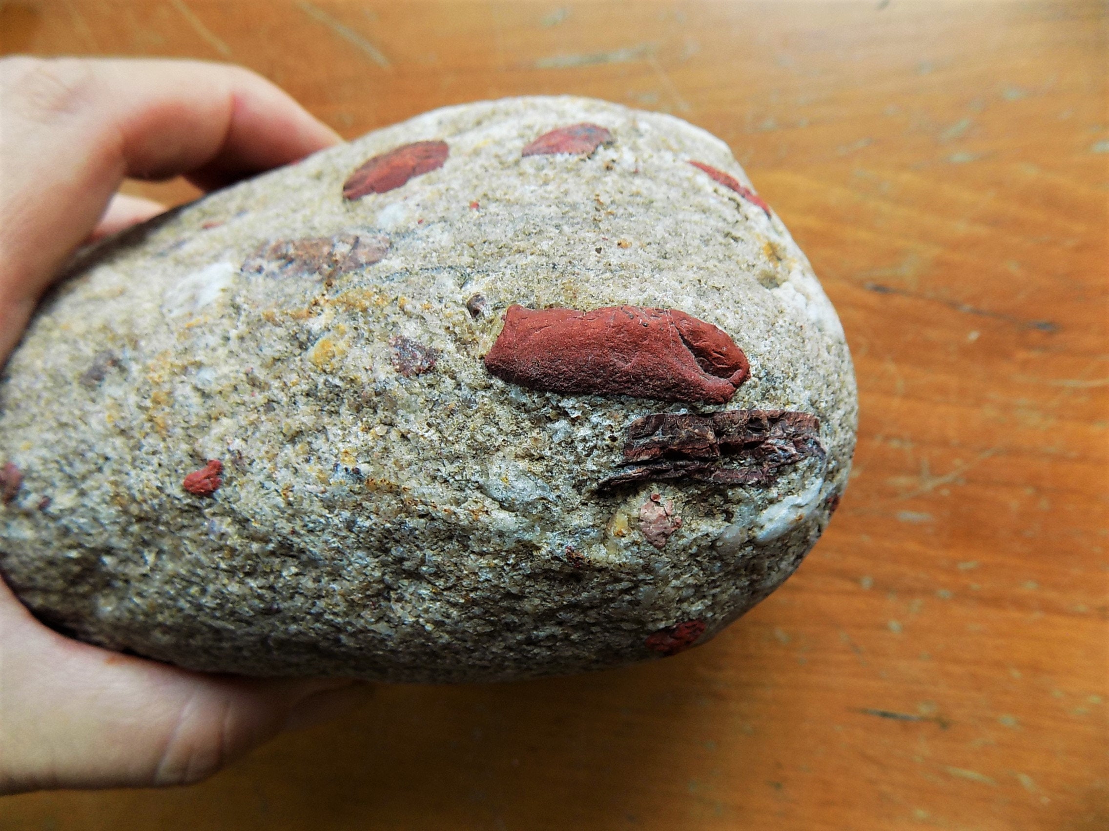 Large Michigan Pudding Stone Rough Unpolished for Lapidary - Etsy