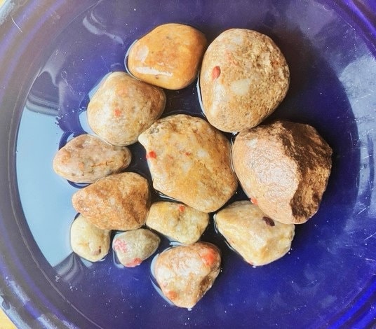 Twelve, Small Michigan Pudding Stones, Rough, Unpolished, for Lapidary ...