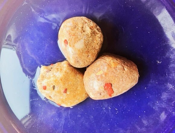 Twelve, Small Michigan Pudding Stones, Rough, Unpolished, for Lapidary ...