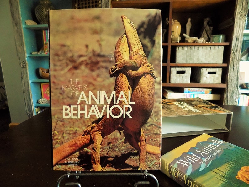 National Geographic the Marvels of Animal Behavior & wild Animals of ...
