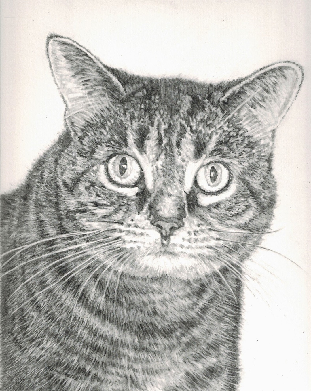 Lifelike, Custom, 8" X 10" Grayscale, Black & White, Graphite Pet ...