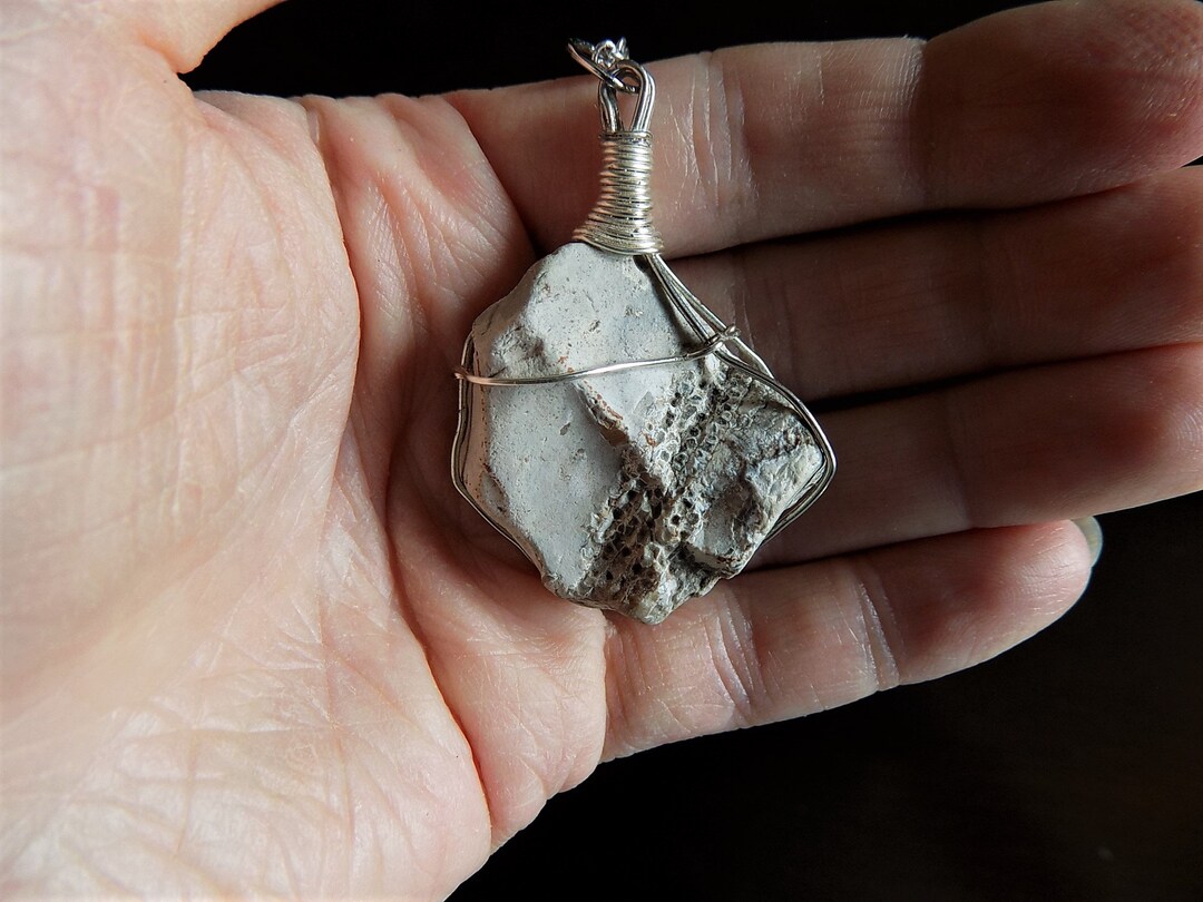 Michigan Chert With Fossil Necklace, Wire Wrapped - Etsy