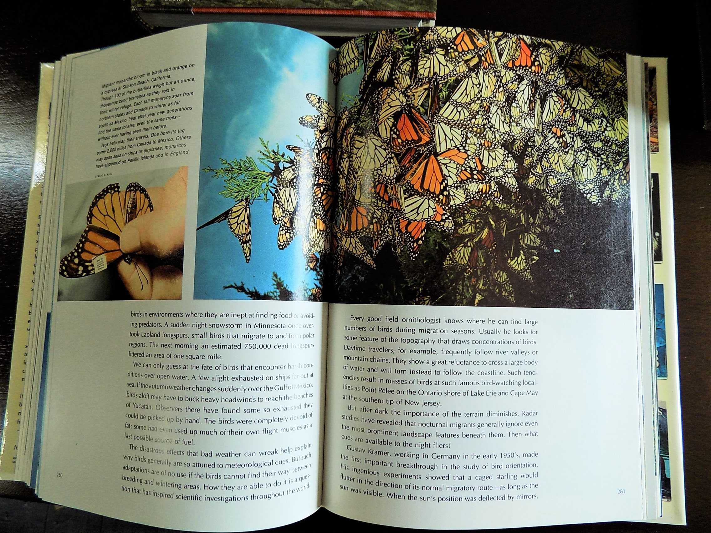 National Geographic the Marvels of Animal Behavior & wild Animals of ...