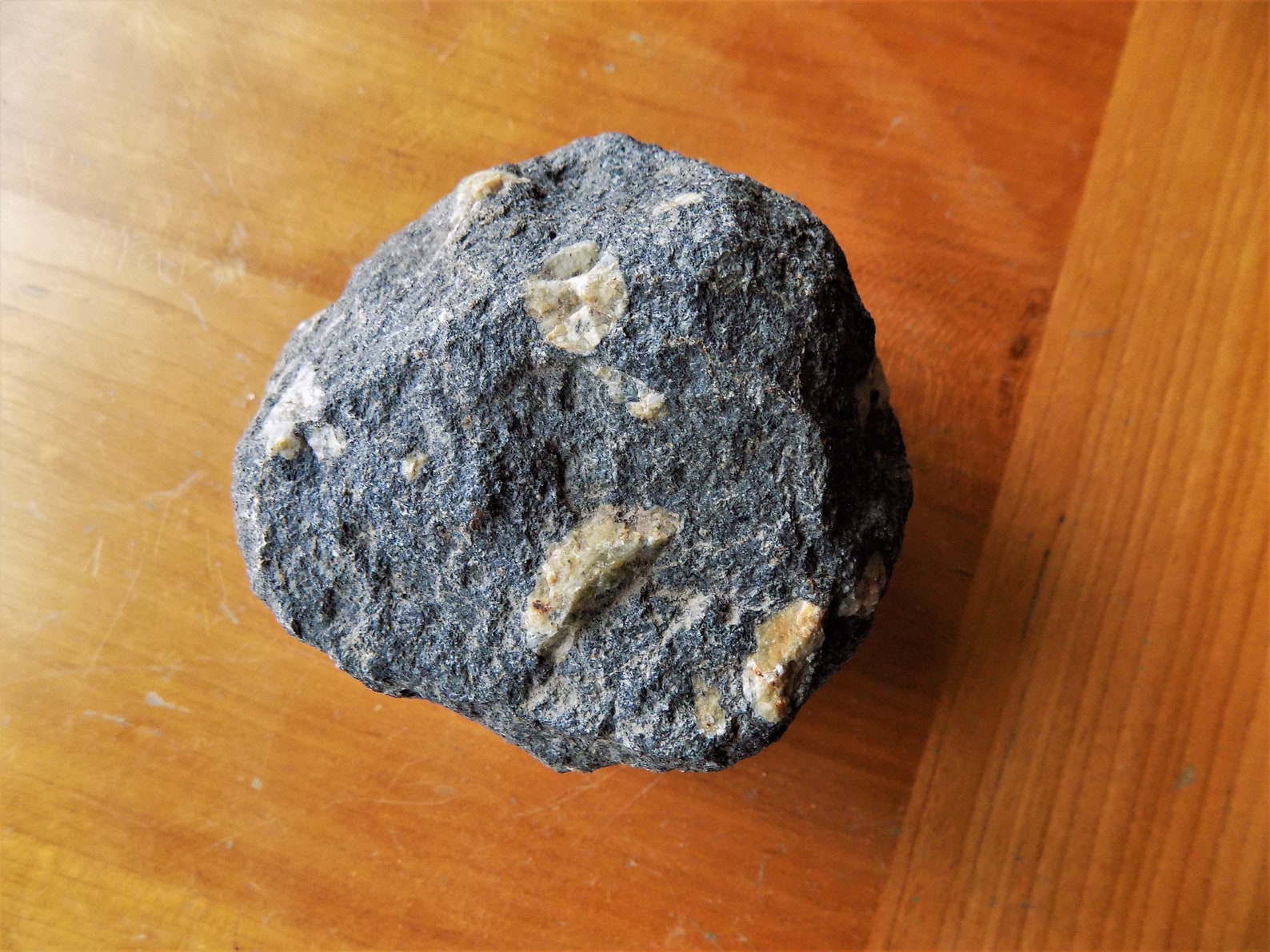 Dark Michigan Pudding Stone, Conglomerate, Rough, Unpolished, for ...