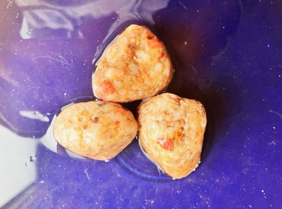 Twelve, Small Michigan Pudding Stones, Rough, Unpolished, for Lapidary ...