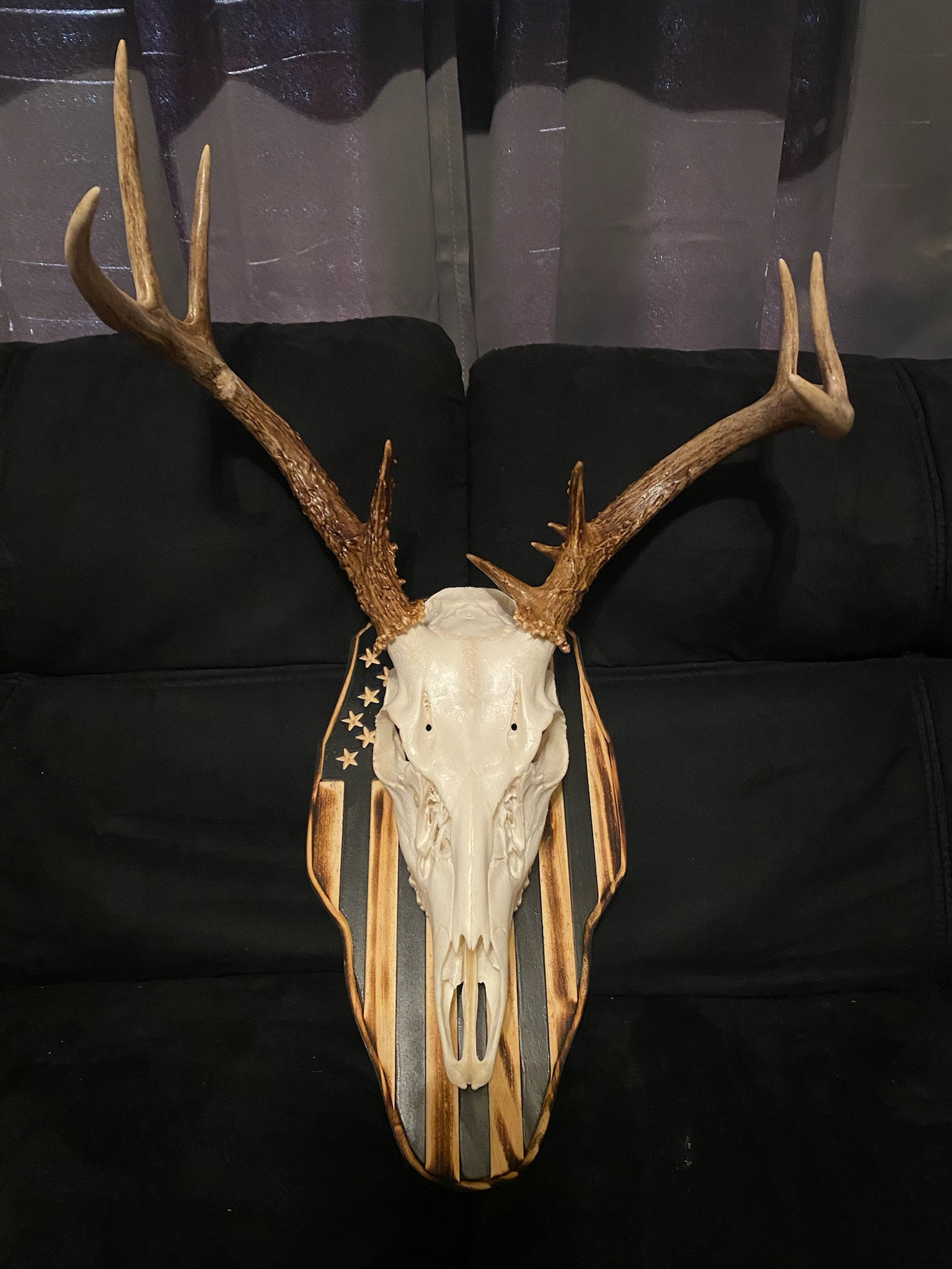 Customizable European Deer Skull Mount Plaque - Torched Black Flag ...
