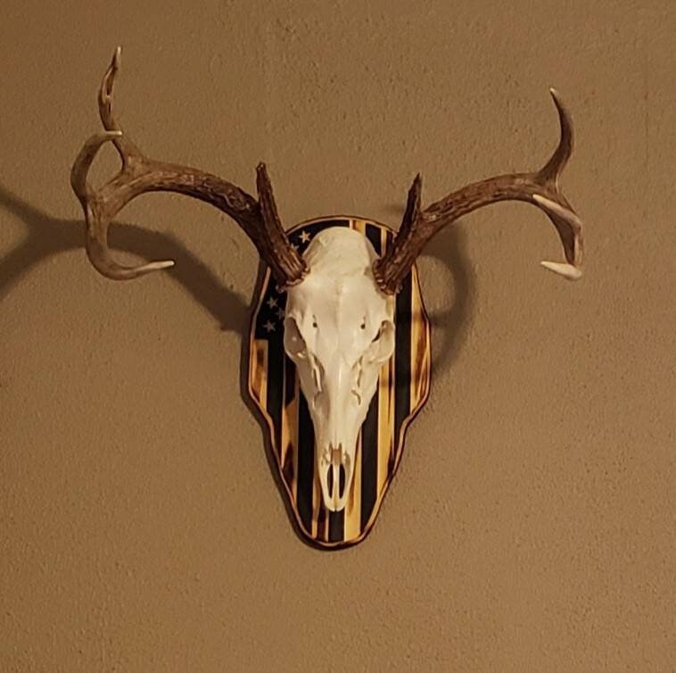 Customizable European Deer Skull Mount Plaque Torched Black Flag Design ...