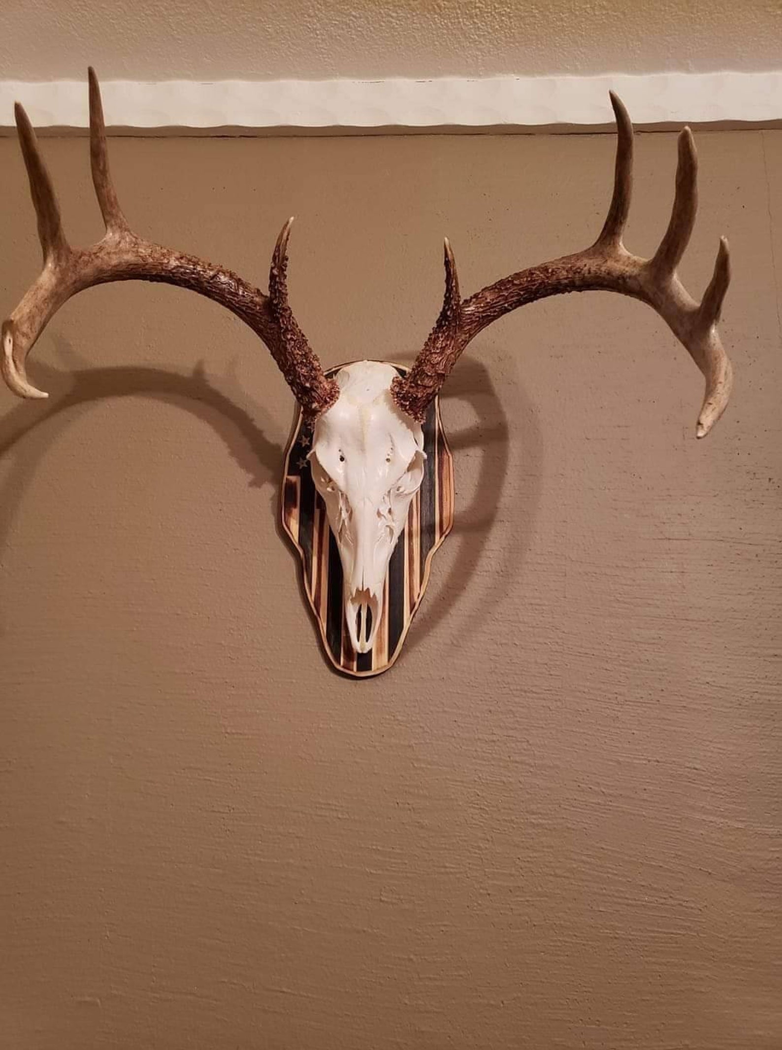 Customizable European Deer Skull Mount Plaque Torched Black Flag Design ...