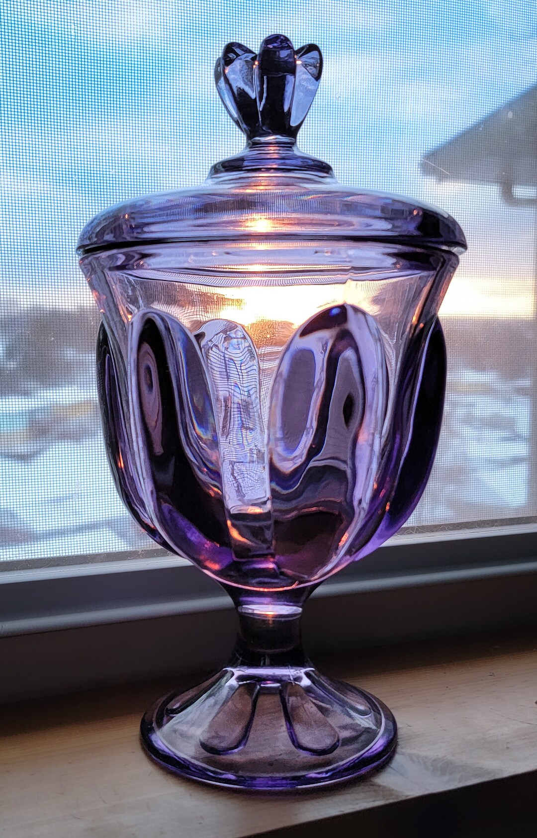 Vintage Viking Epic 6 Petal Covered Candy Dish in Teaberry 10 With ...