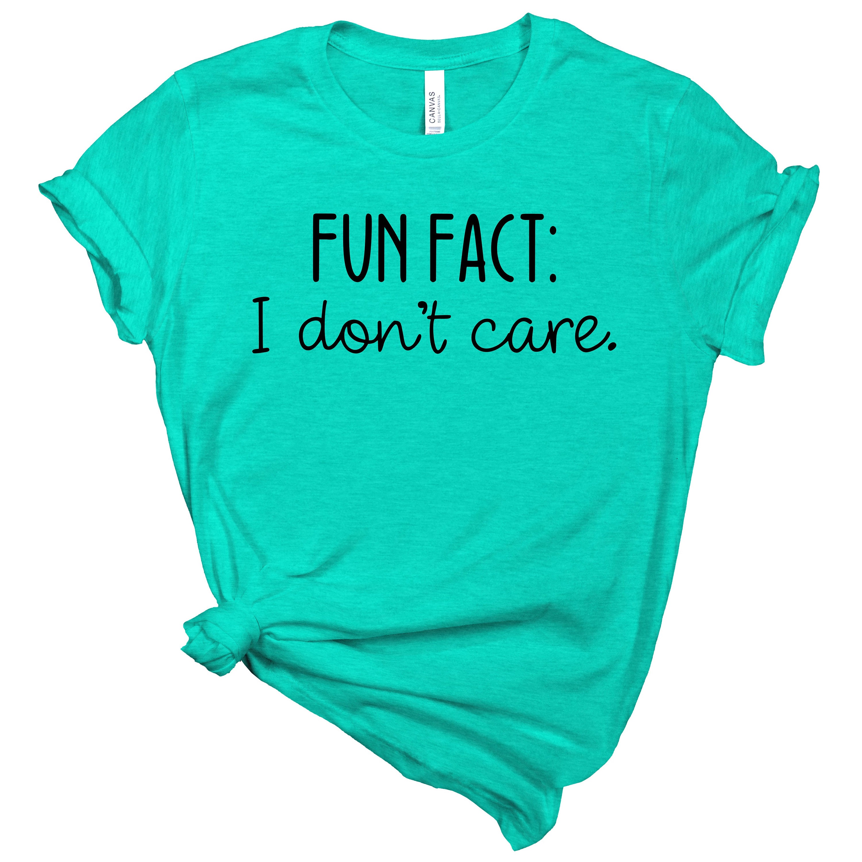 Fun Fact I Don't Care Shirt Adulting Shirt Adult Humor | Etsy