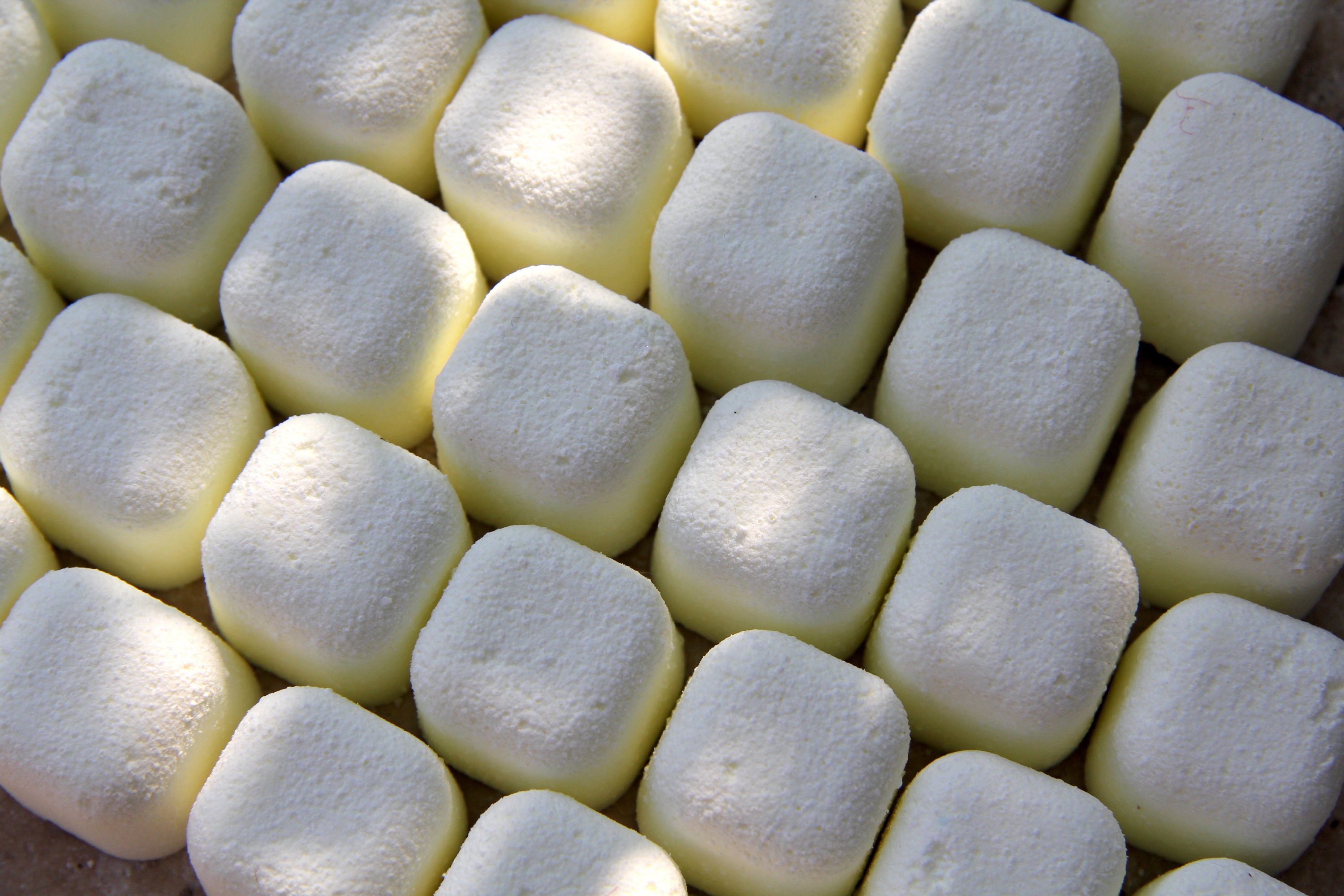 ECO Toilet Fizz Bombs - Etsy