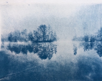 Cyanotype Print - Etsy
