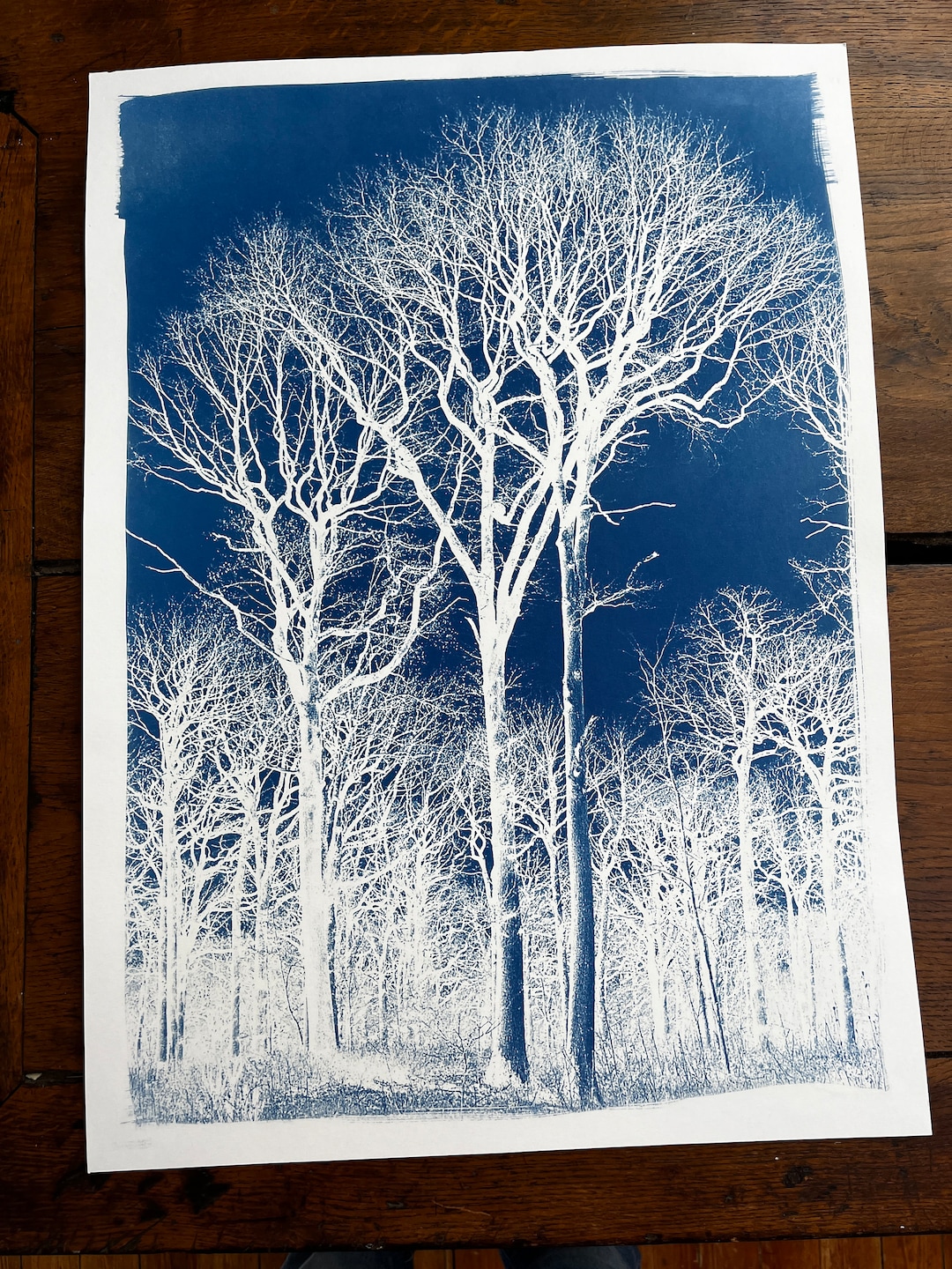 Landscape Trees / Large Format Cyanotype - Etsy