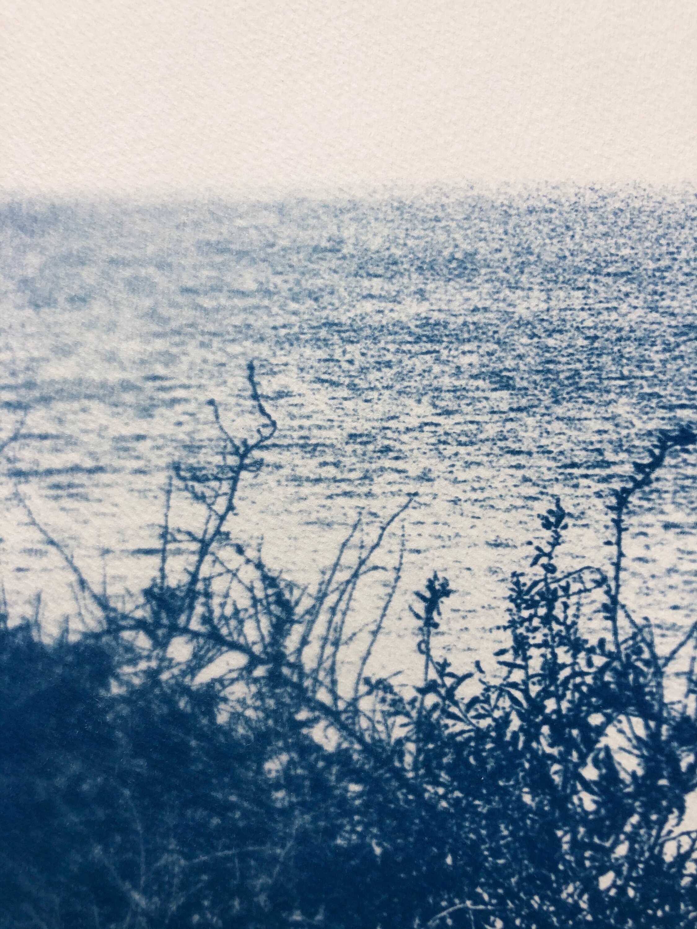 Sea / Marine / Large Format Cyanotype / France - Etsy