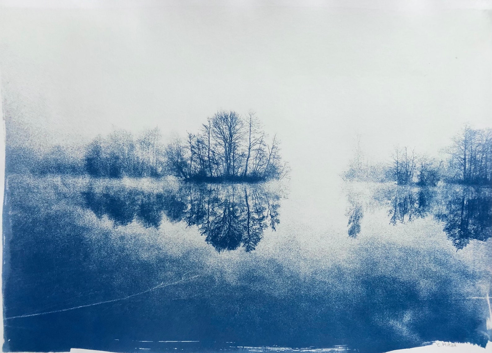 Landscape in Mist / Large Cyanotype Format - Etsy UK