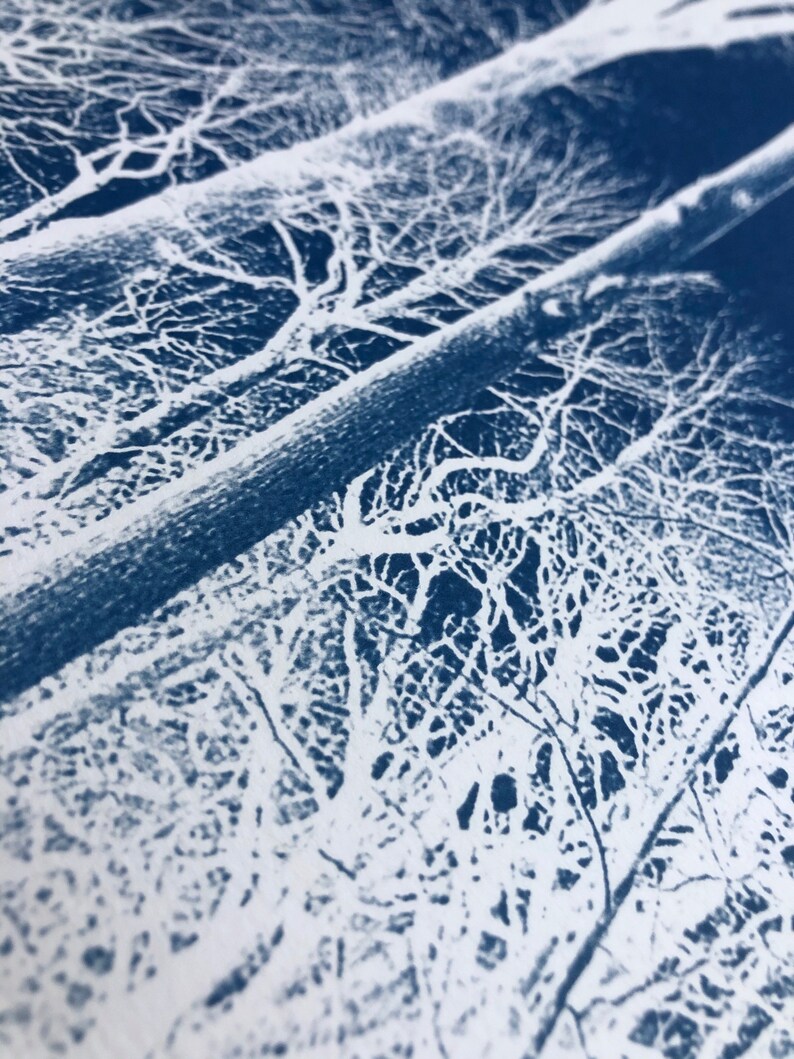 Landscape Trees / Large Format Cyanotype - Etsy UK