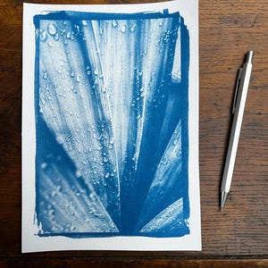 Blue Plant - Original Cyanotype Print - Etsy