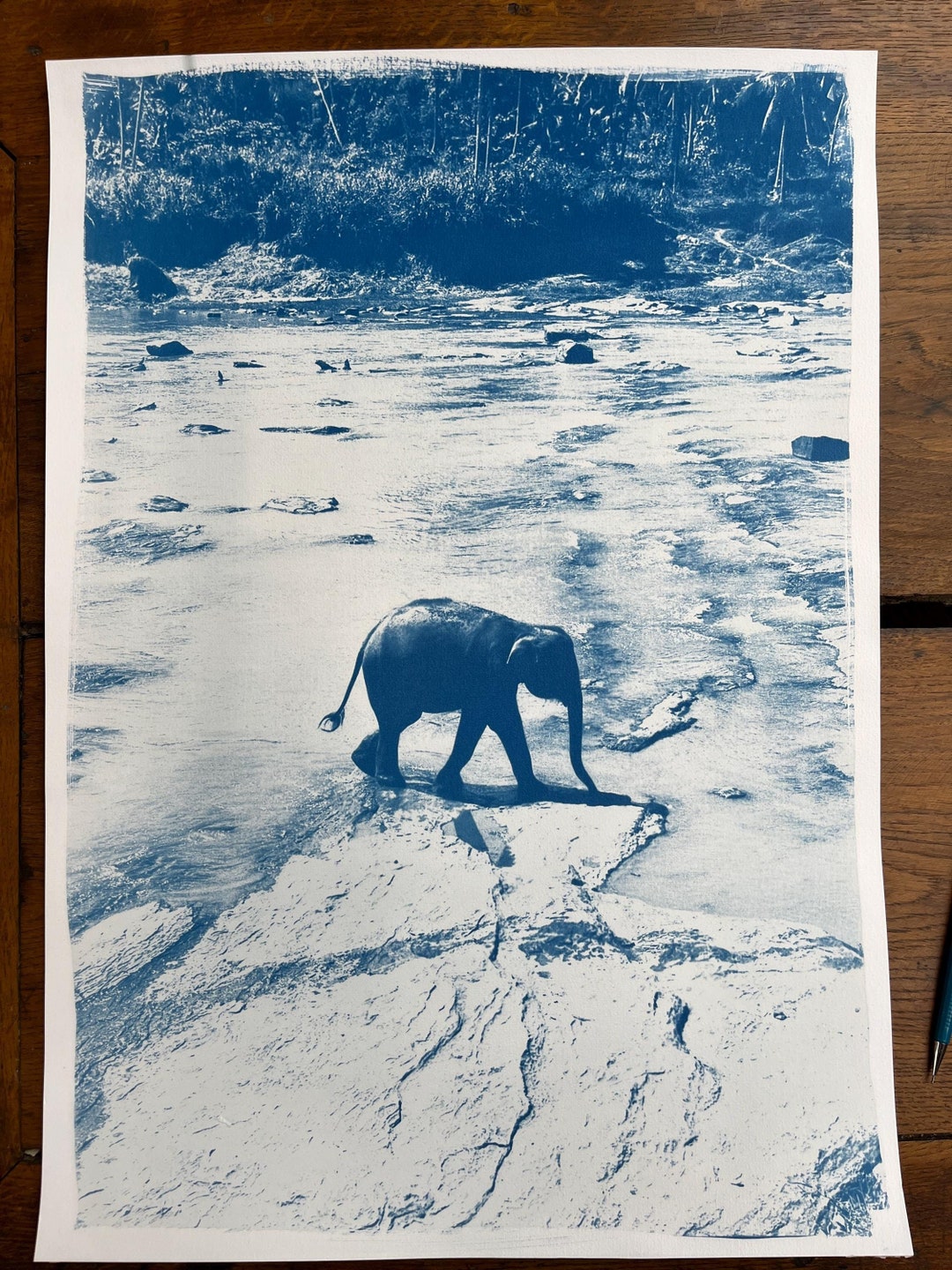 Large Format Cyanotype - Portrait - Etsy