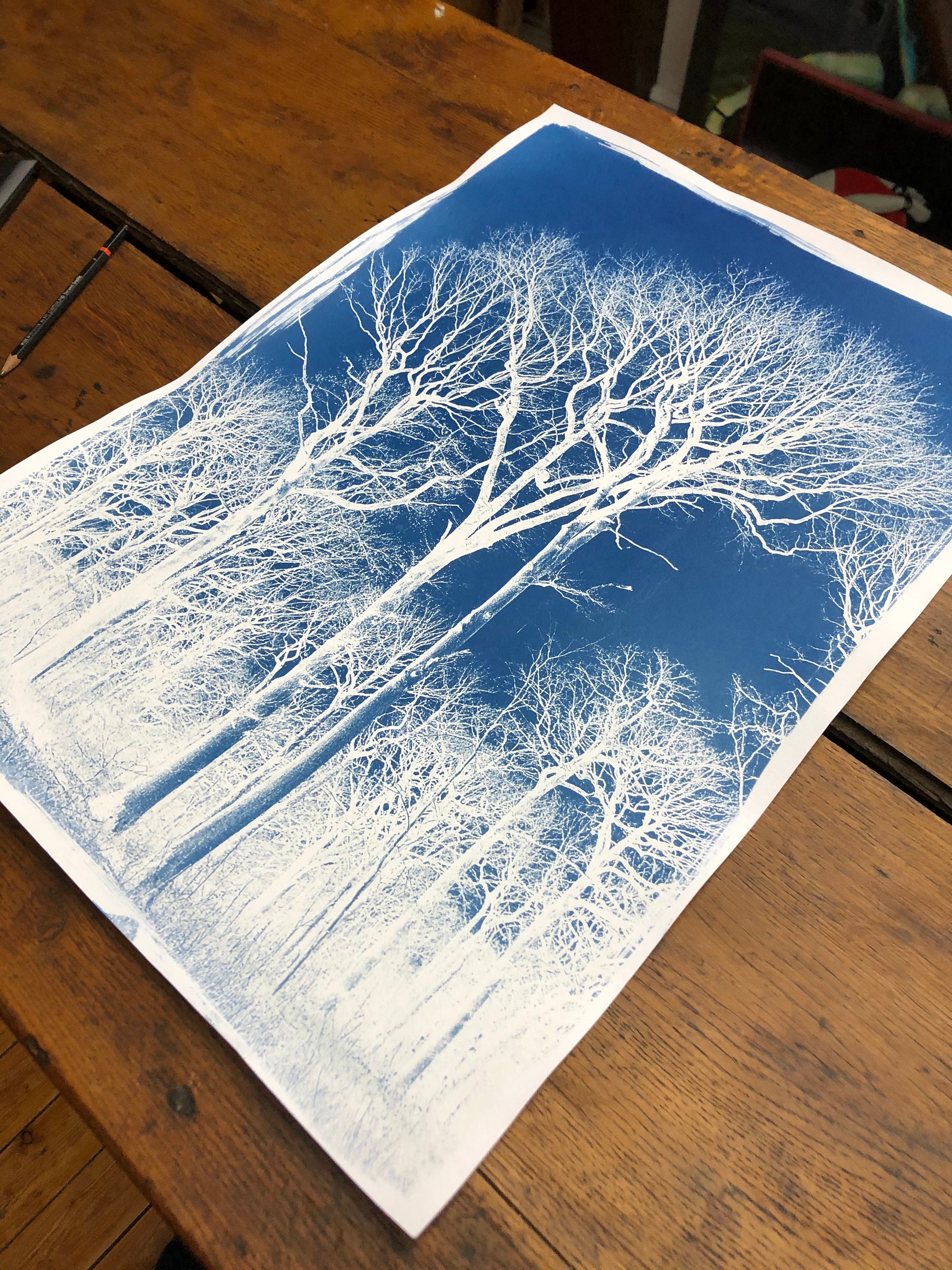 Landscape Trees / Large Format Cyanotype - Etsy UK