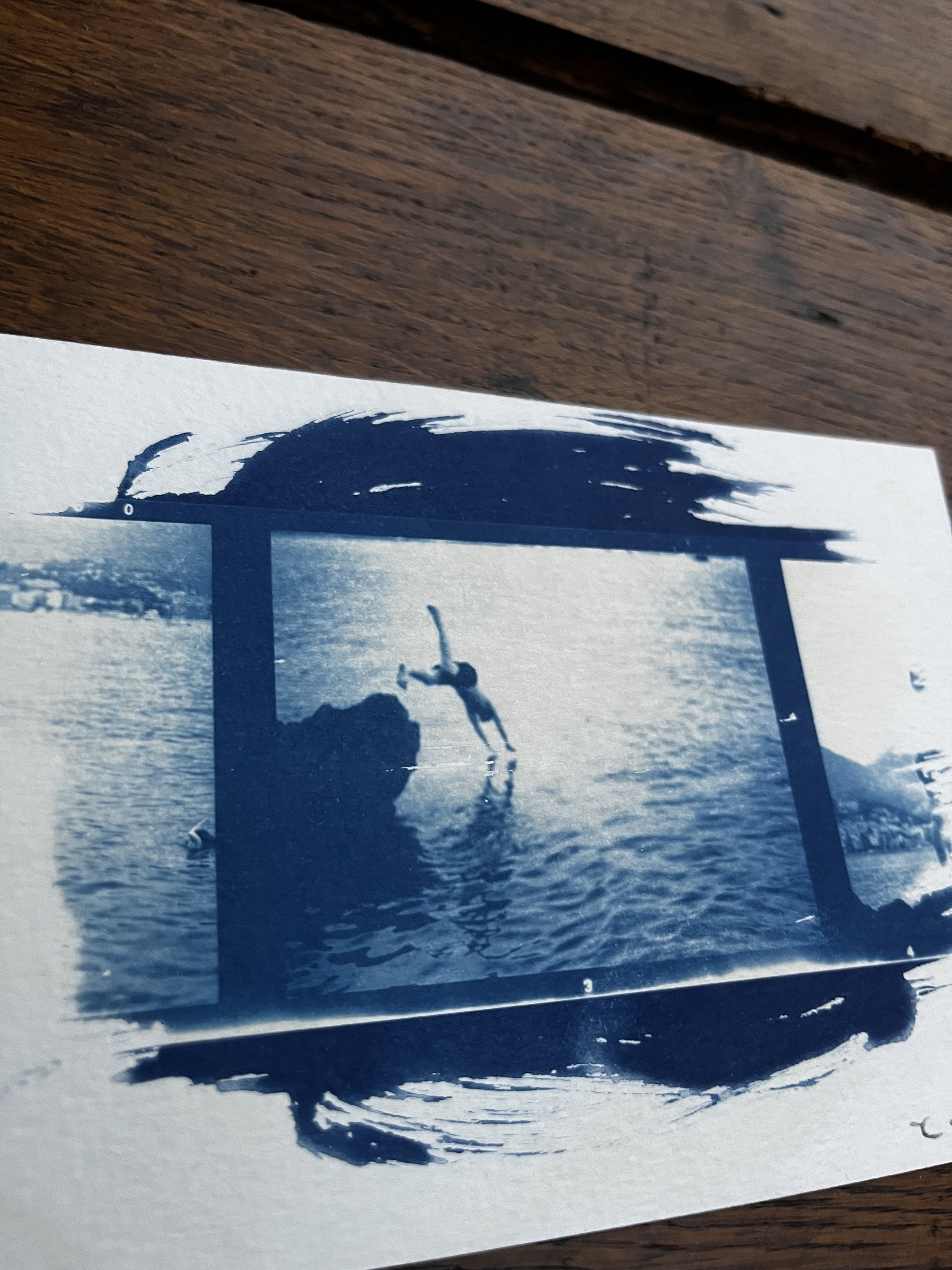 The Dive Original Cyanotype Print - Etsy