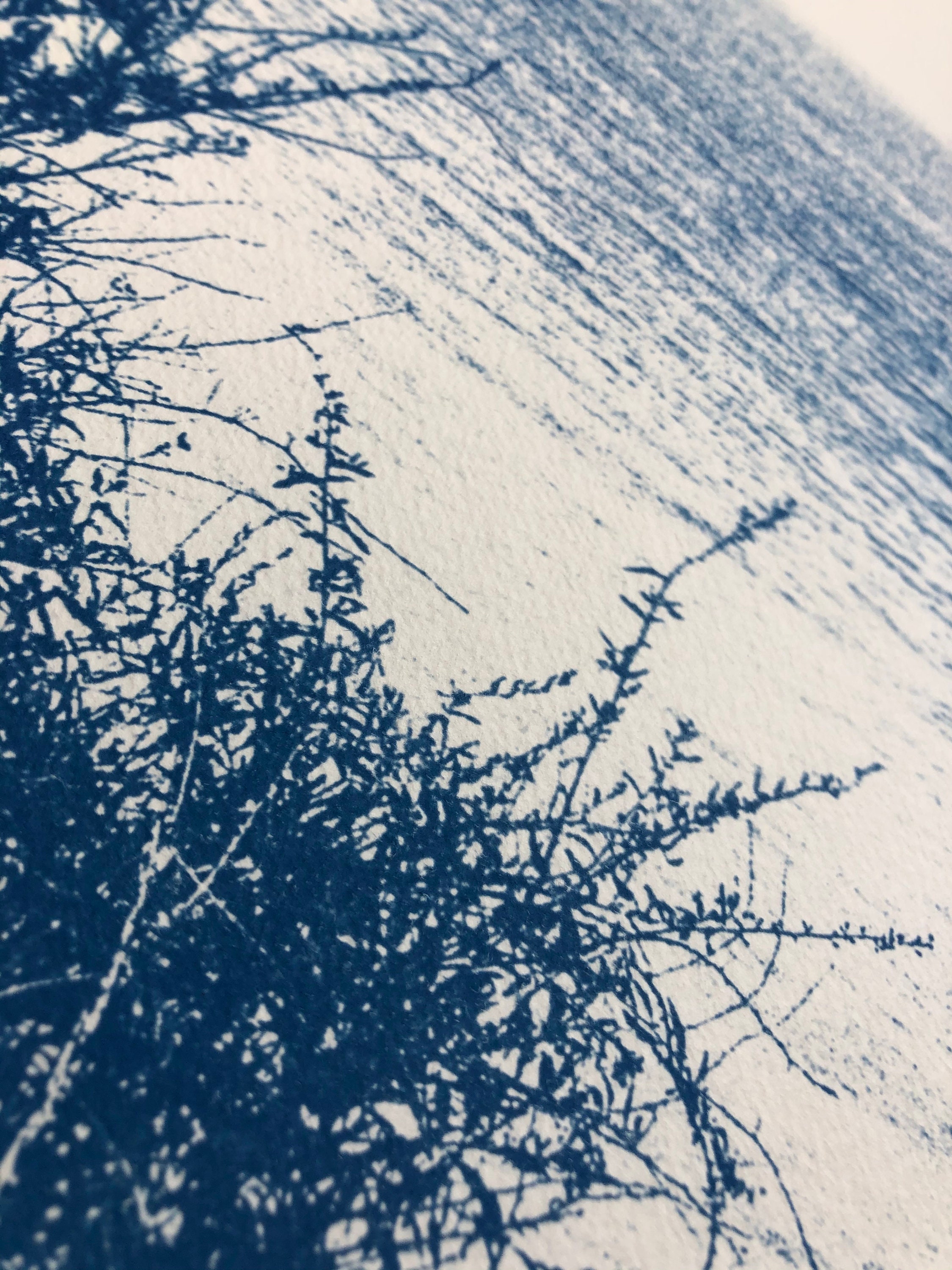 Sea / Marine / Large Format Cyanotype / France - Etsy