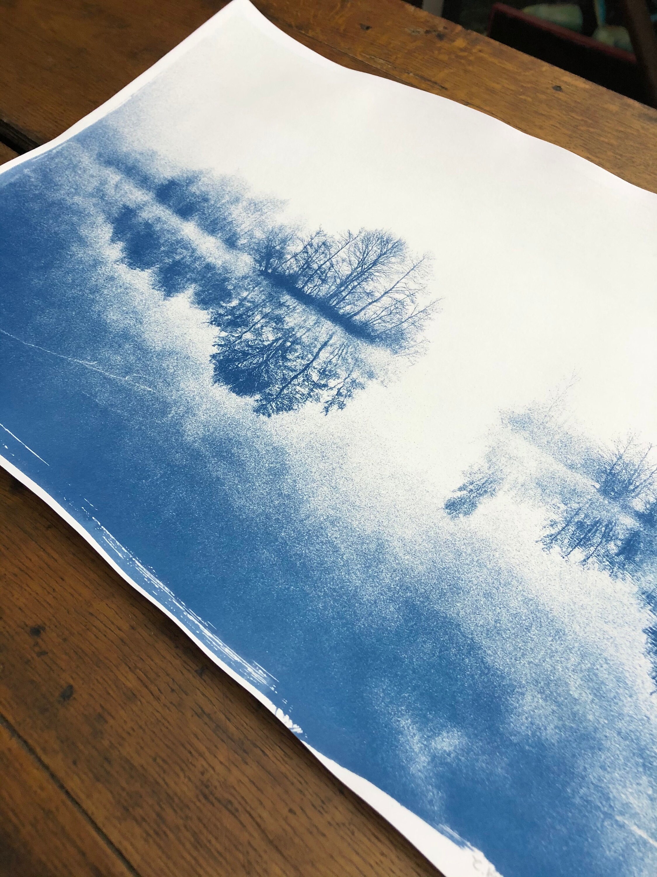 Landscape in Mist / Large Cyanotype Format - Etsy UK