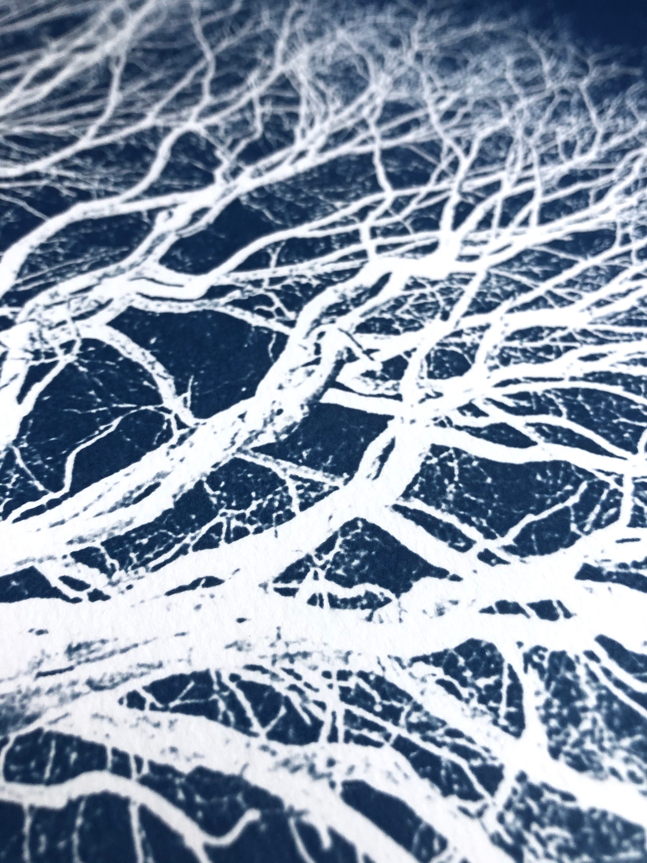 Landscape Trees / Large Format Cyanotype - Etsy UK