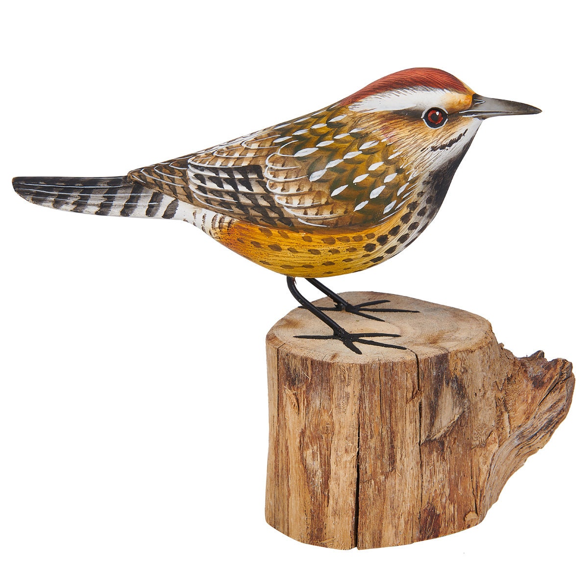 Cactus Wren Painted Wooden Carving - Etsy
