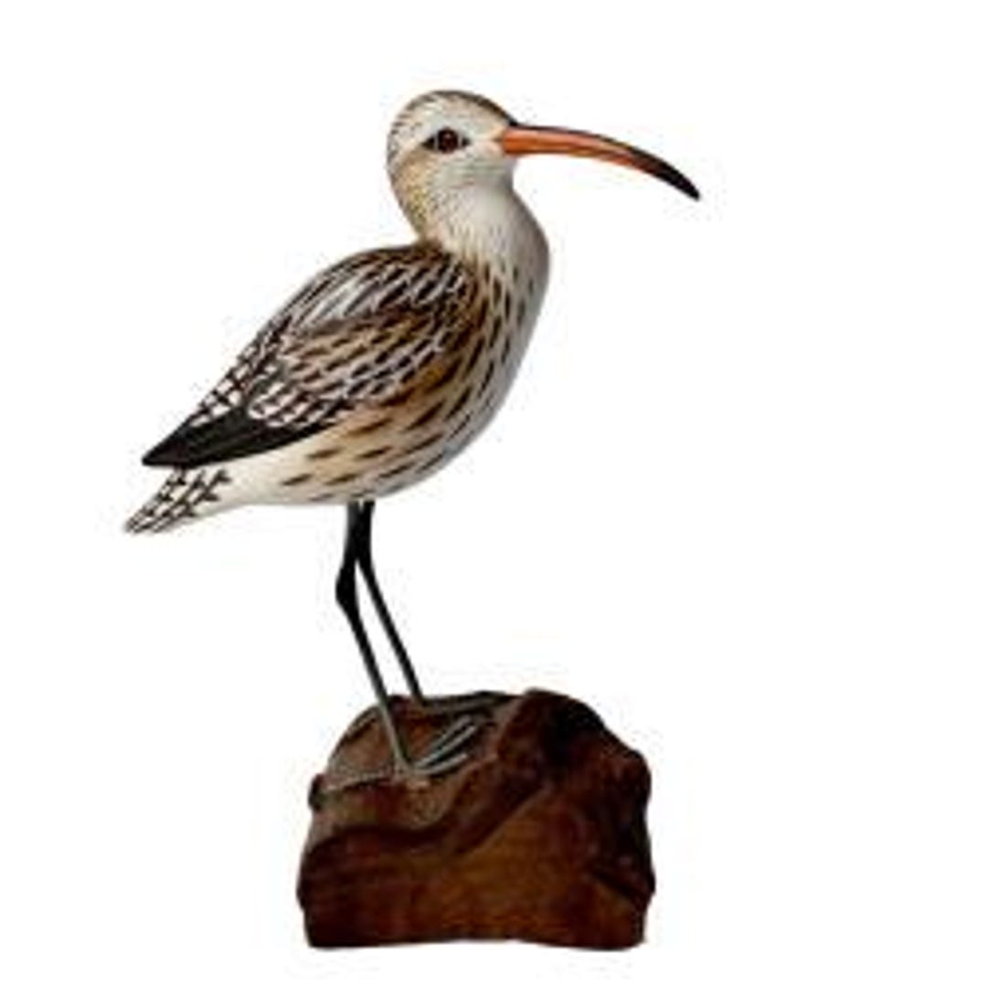 Curlew - Painted Wooden Carving (gloss) - Etsy