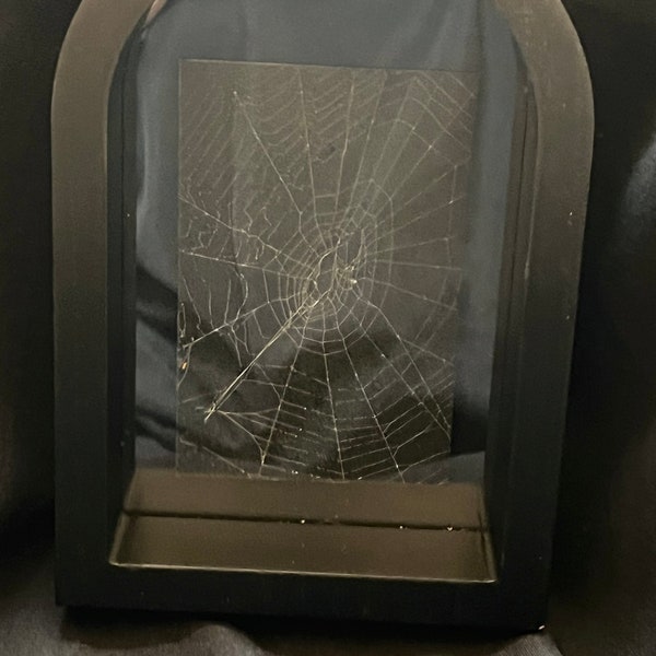 Framed Spider Web - Etsy