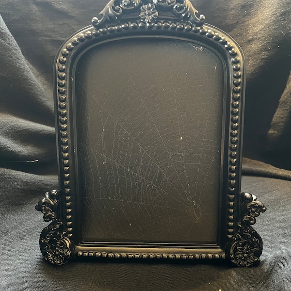Framed Spider Web - Etsy