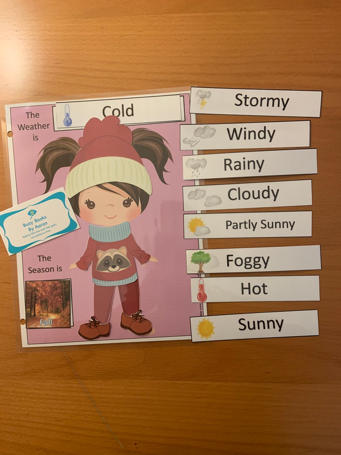 Printable Busy Book Activity: Girl Weather Dress up Activity - Etsy