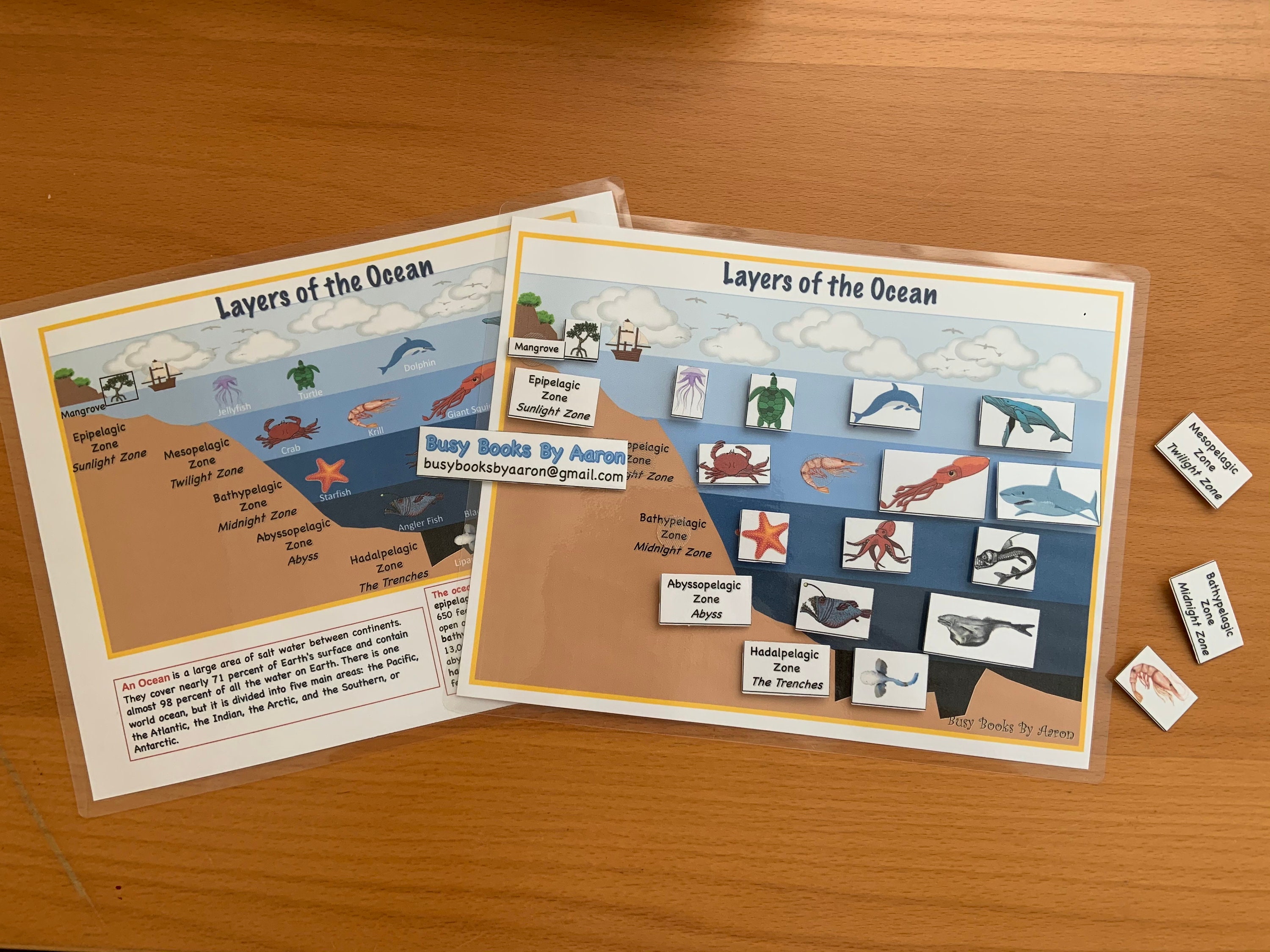 Zones / Layers of the Ocean Busy Book Printable - Etsy