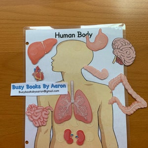 Busy Book Printable Activity: Human Body - Etsy