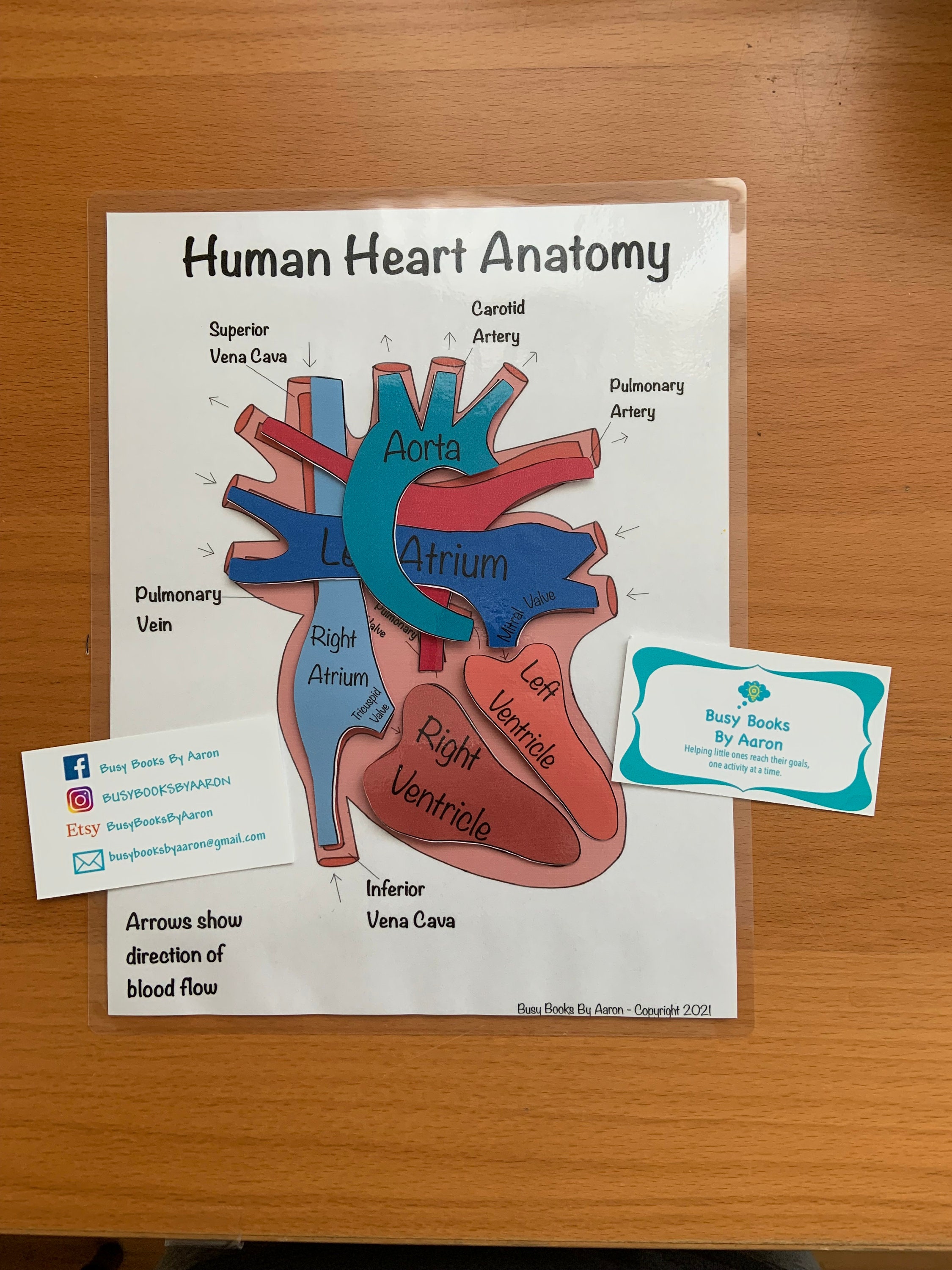 Human Heart Printable Busy Book Activity - Etsy