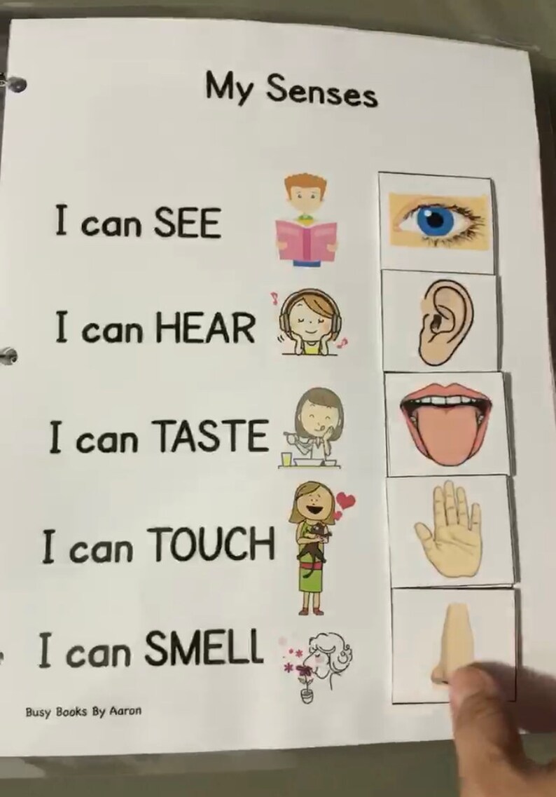 Printable Busy Book Activities: the Senses - Etsy