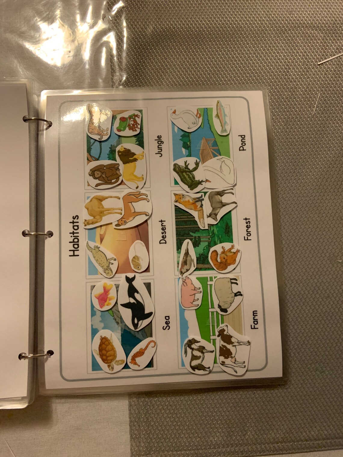 Printable Kindergarten/ First Grade Busy Book | Etsy