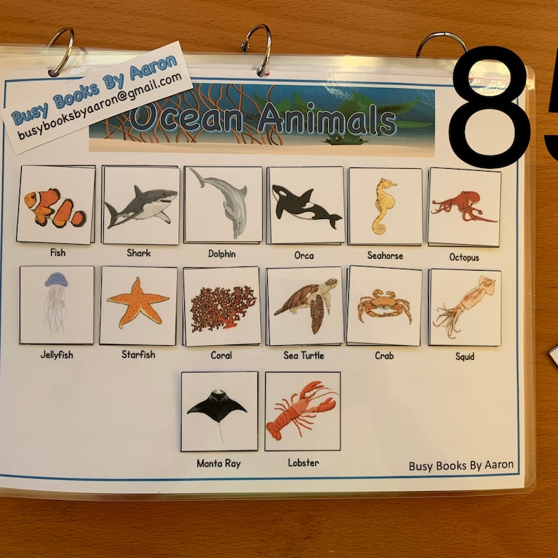 BusyBooksByAaron - Etsy