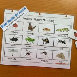 Busy Book Printable Activity: Insects (word and Picture Matching) - Etsy