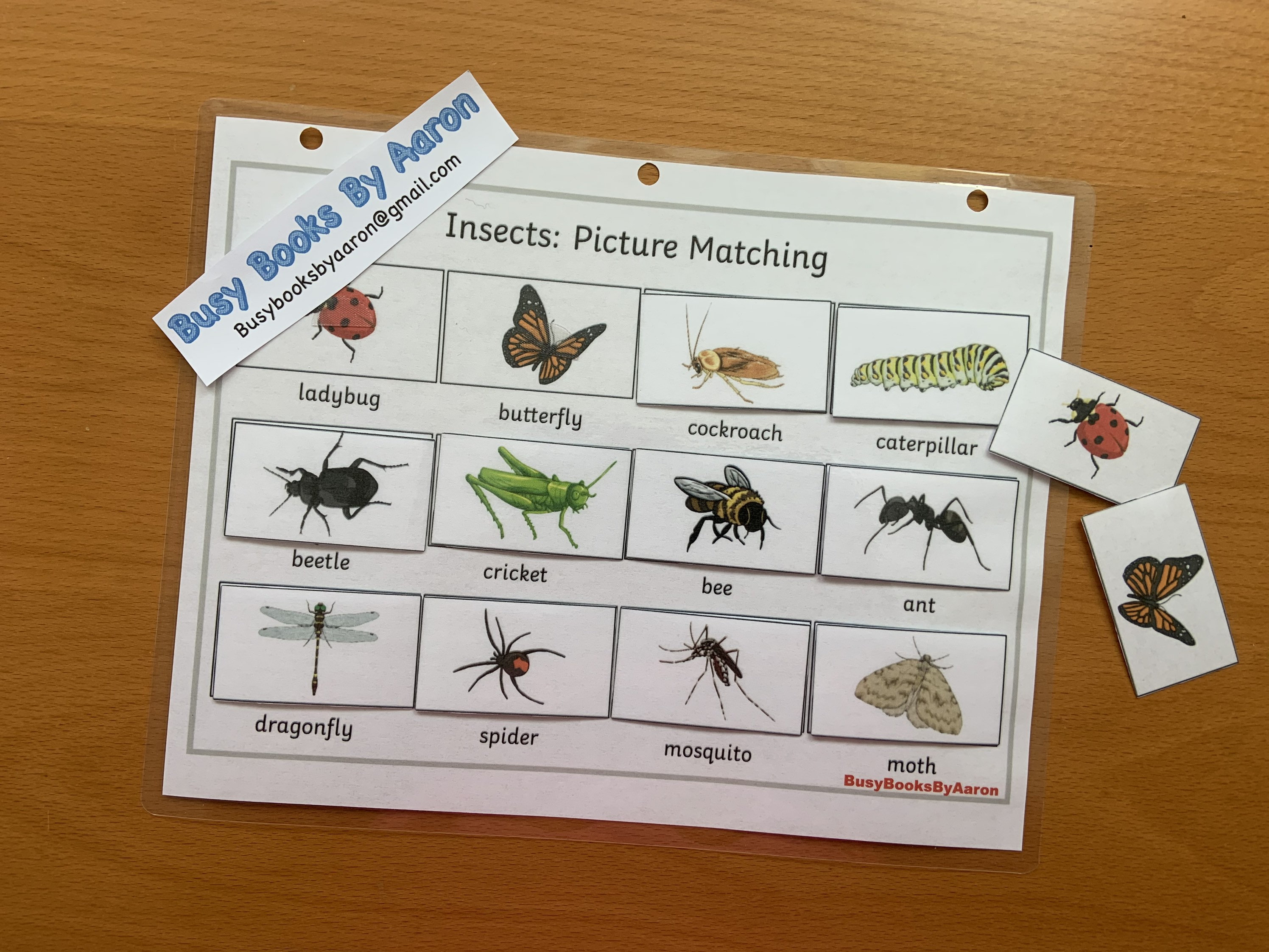 Busy Book Printable Activity: Insects (word and Picture Matching) - Etsy