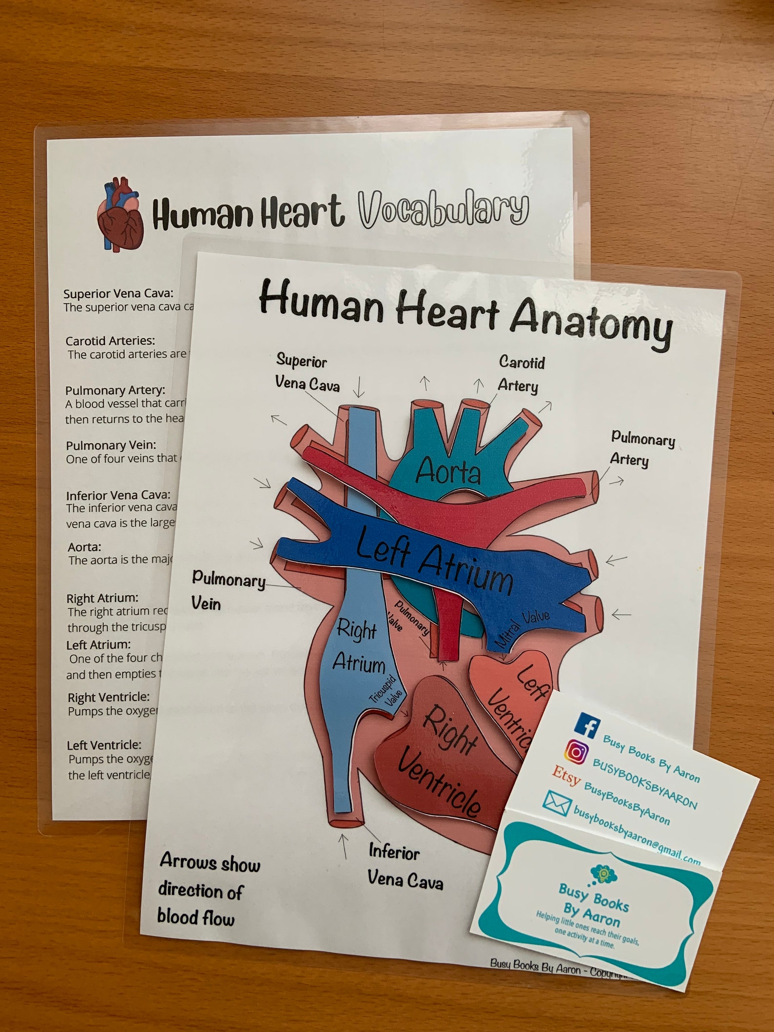 Human Heart Printable Busy Book Activity - Etsy