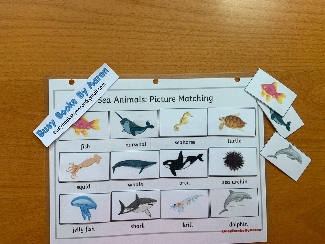 Busy Book Printable Activity: Sea Animals (picture and Word Matching ...