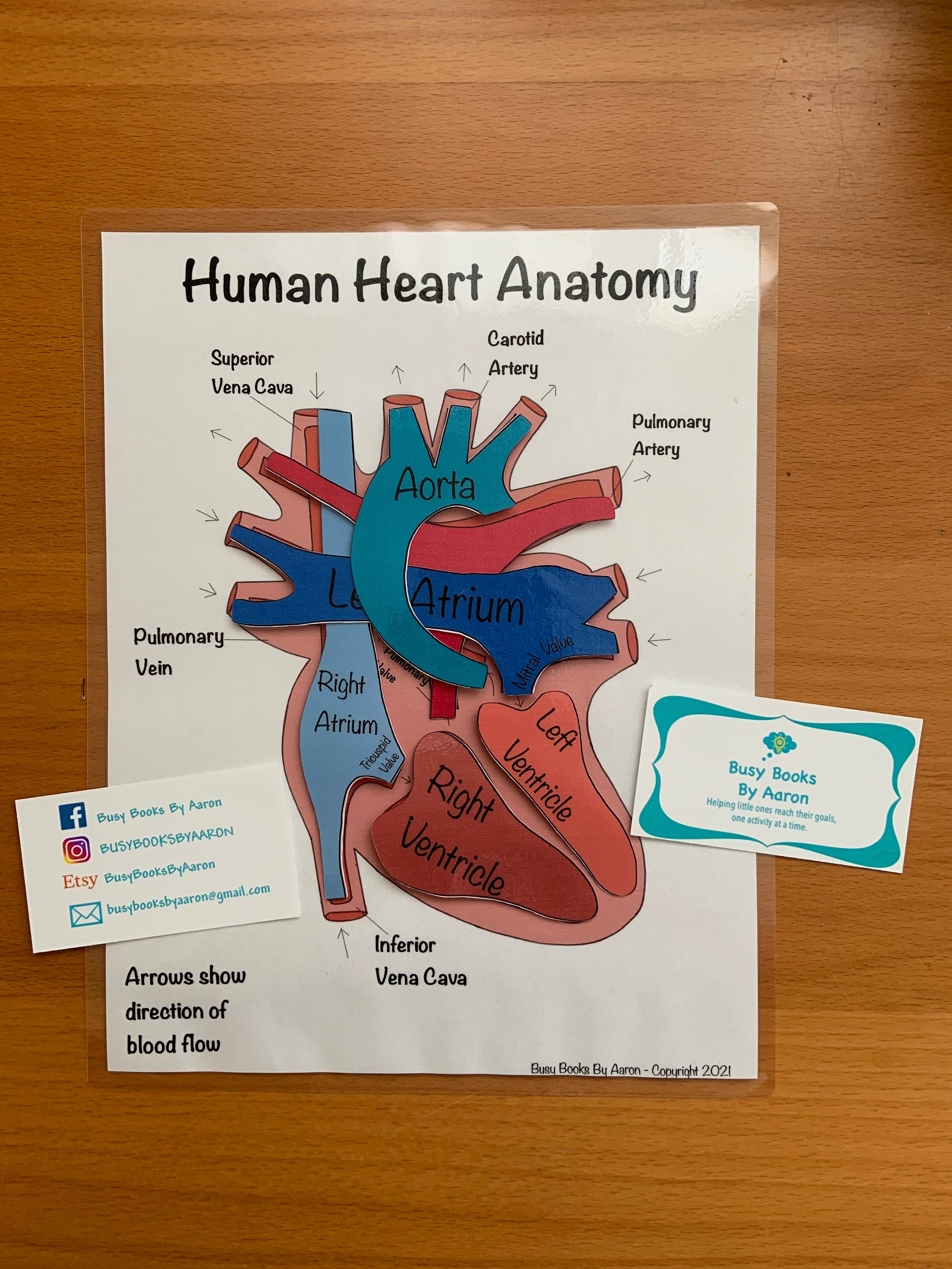 Human Heart Printable Busy Book Activity - Etsy