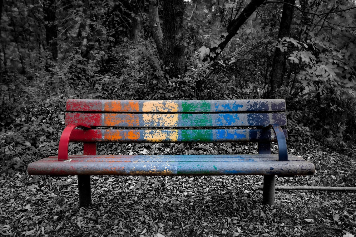 Friendship Bench Art Print LGBTQ Pride Bench, Black and White/color ...
