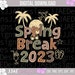 Spring Break Svg, Spring Vacation Svg Spring Break 2024 Cut Files ...