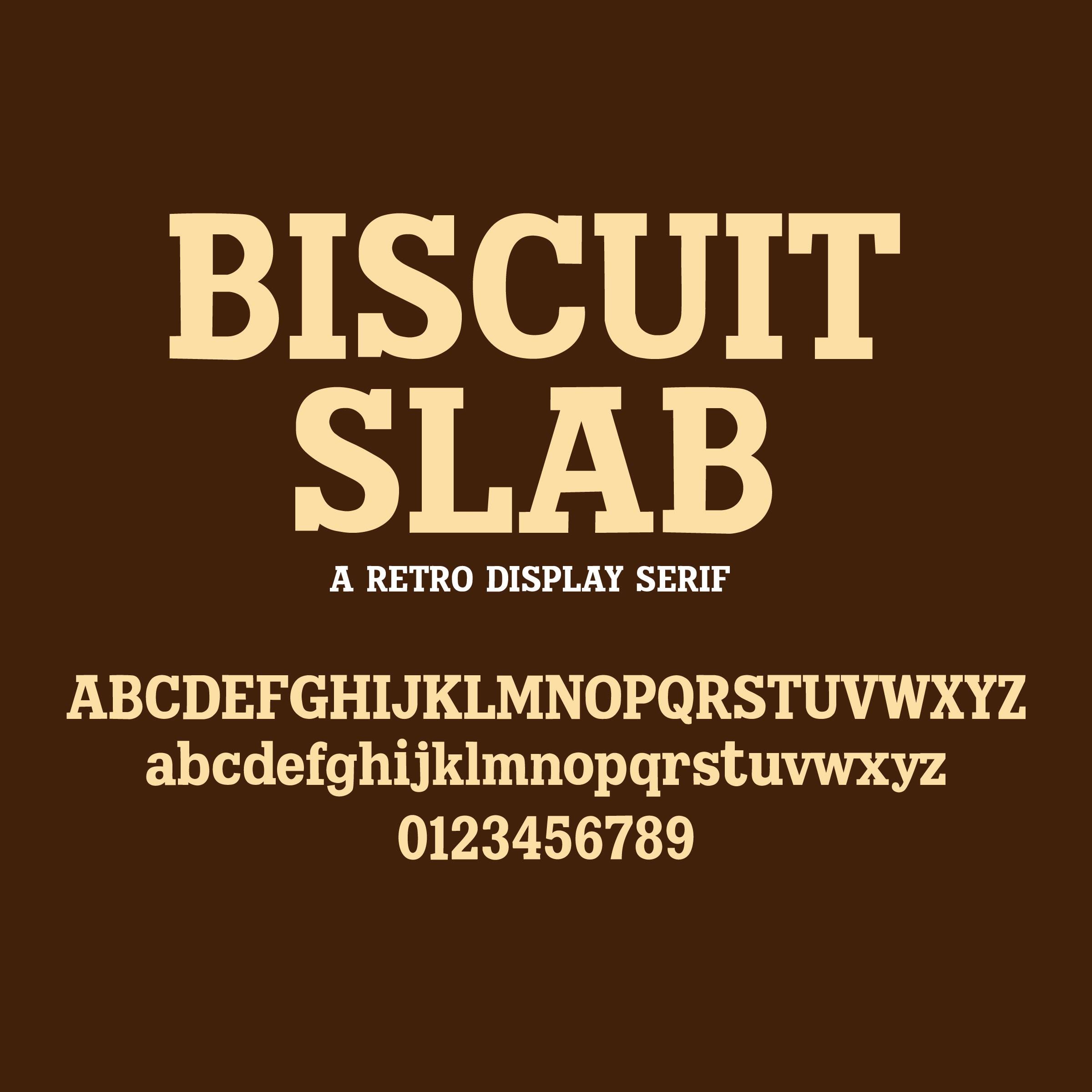 Biscuit Slab Font – Bold Retro Serif Display Font | Cricut Font ...