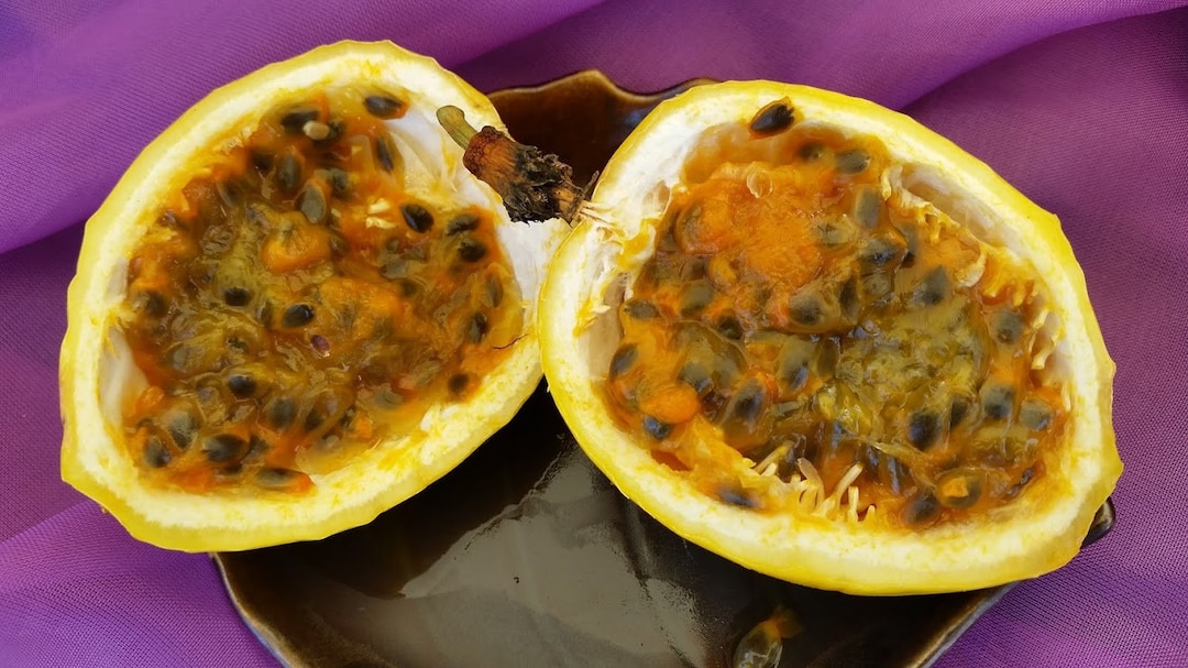 DIRECT FROM HAWAII - Passion Fruit Lilikoi Seeds - High Quality ...