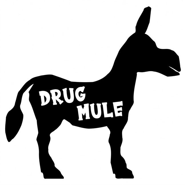 Drug Mule by Bigbadtees.com Free USA Shipping Funny Donkey T-shirt ...