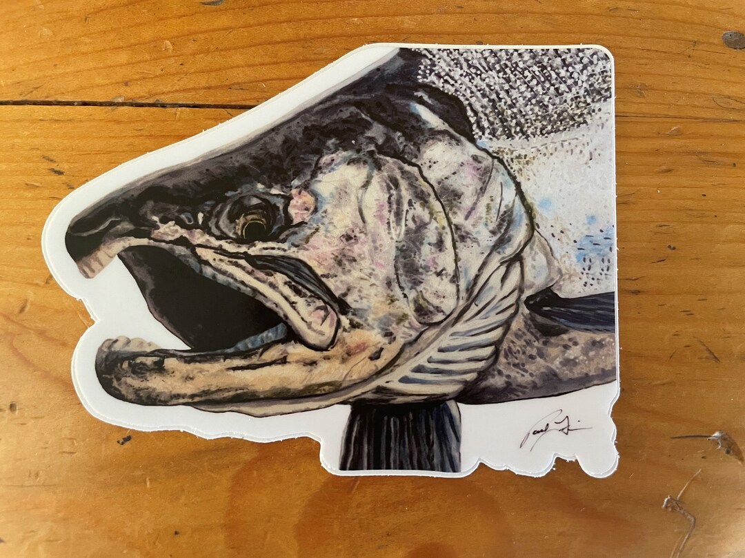 Sticker - Coho Salmon - Etsy