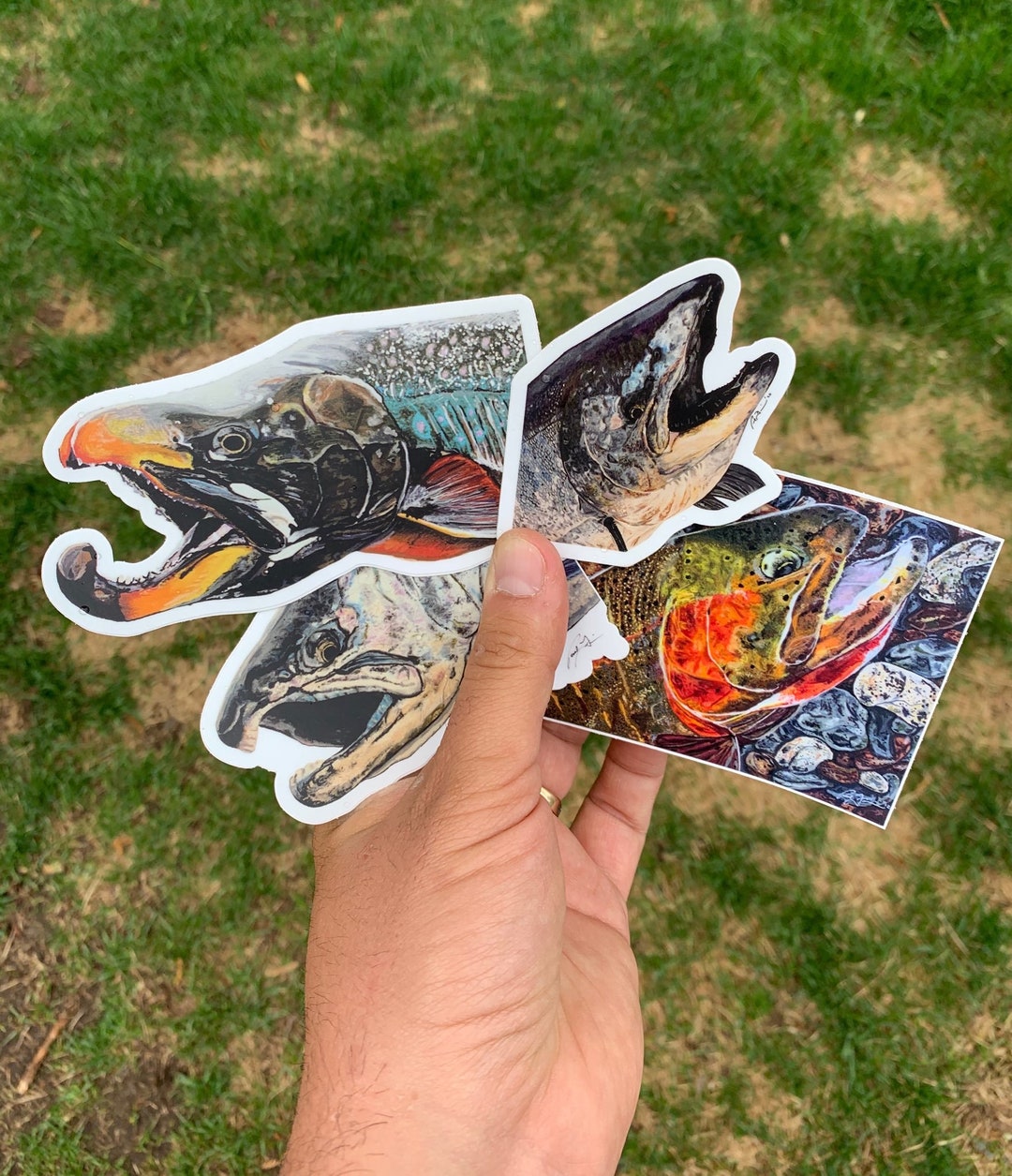 Salmon Sticker Pack - Etsy